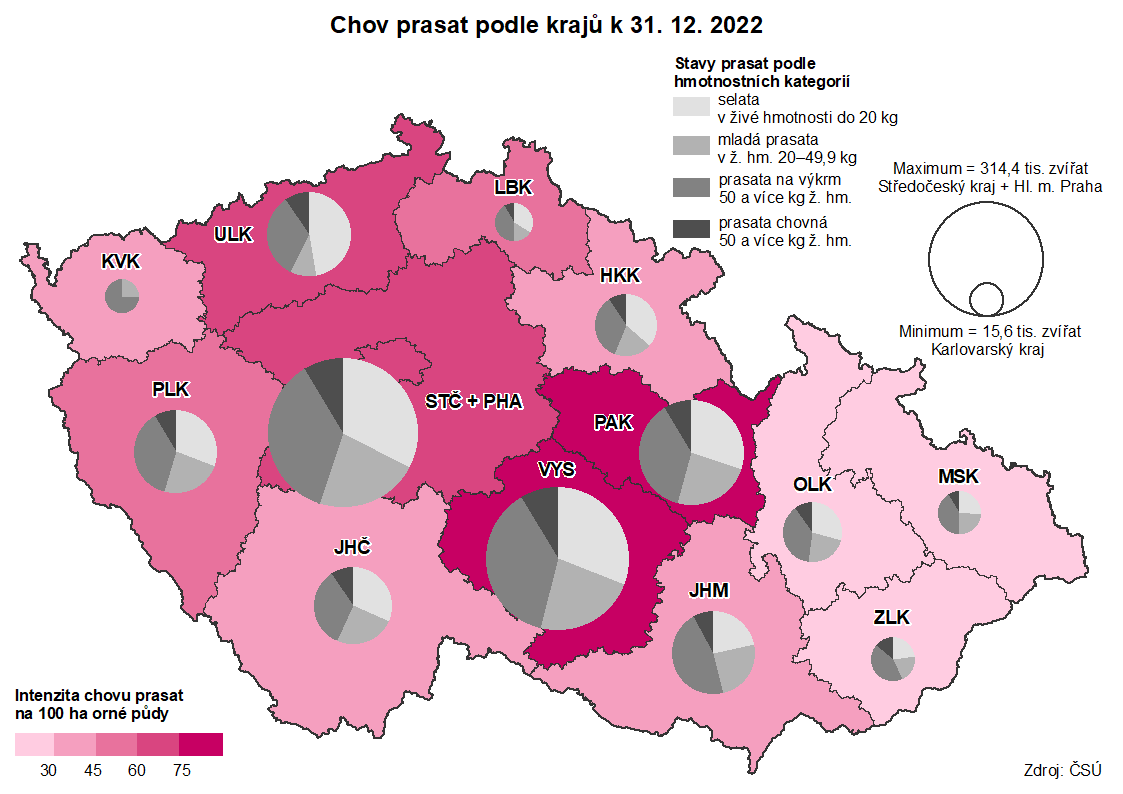 Kartogramy | Produkty